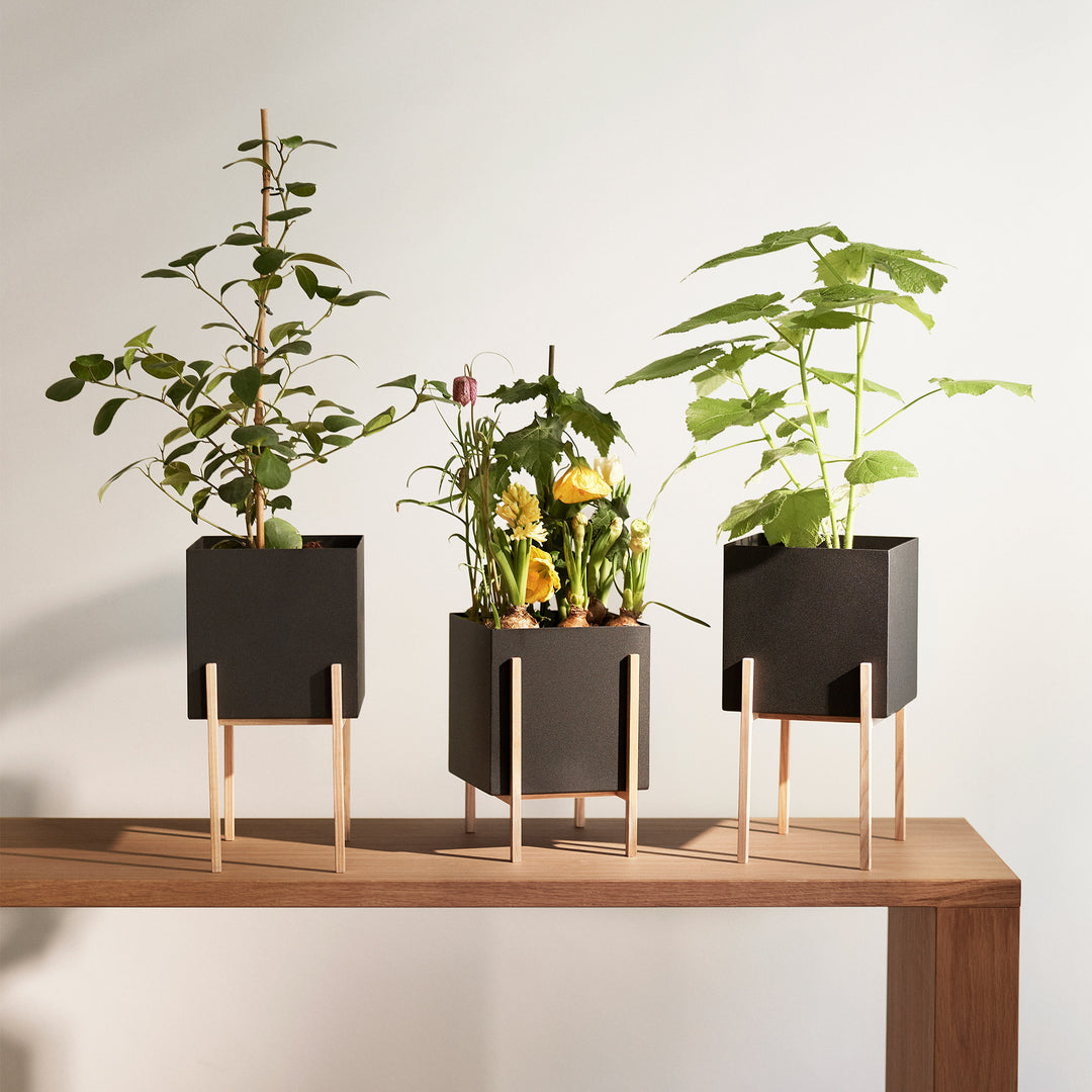 Indoor Gardening | Plant Pots & Accessories | Design House Stockholm